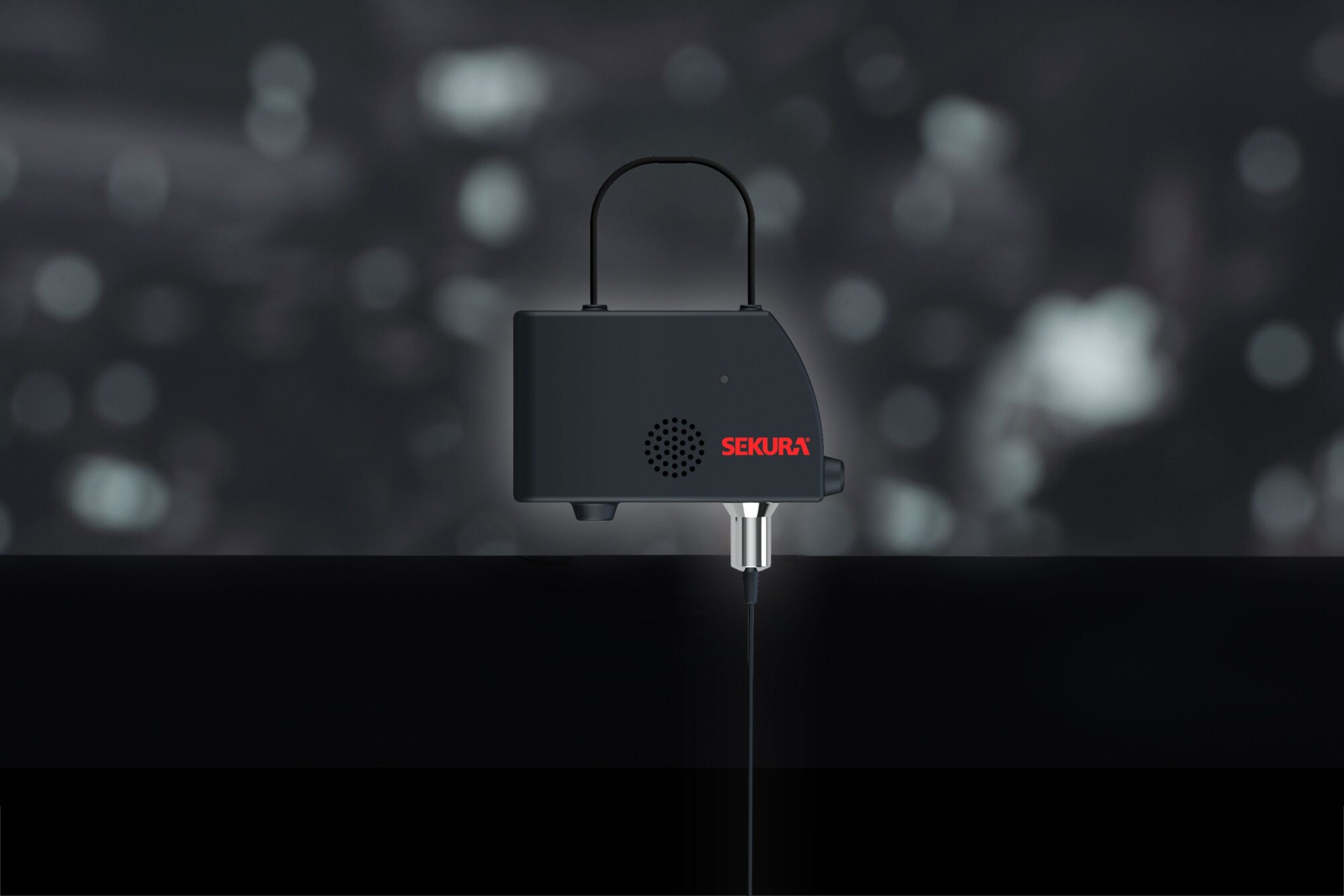 Homepage - Sekura Global